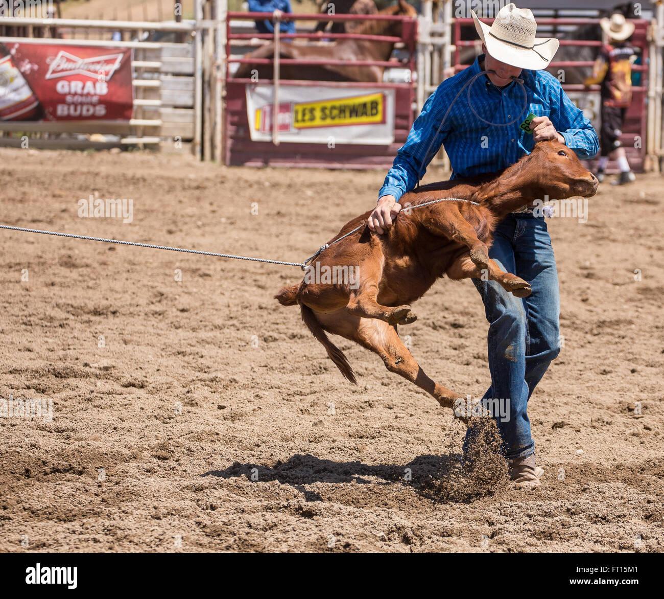 Rodeo action in Cottonwood, California Stock Photo - Alamy