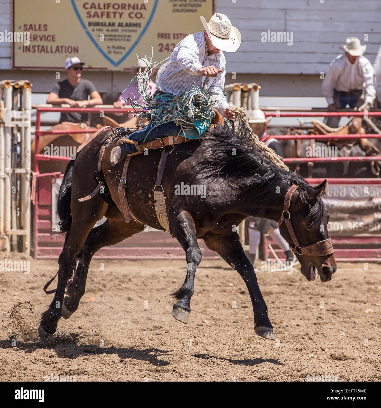 Rodeo action in Cottonwood, California Stock Photo - Alamy