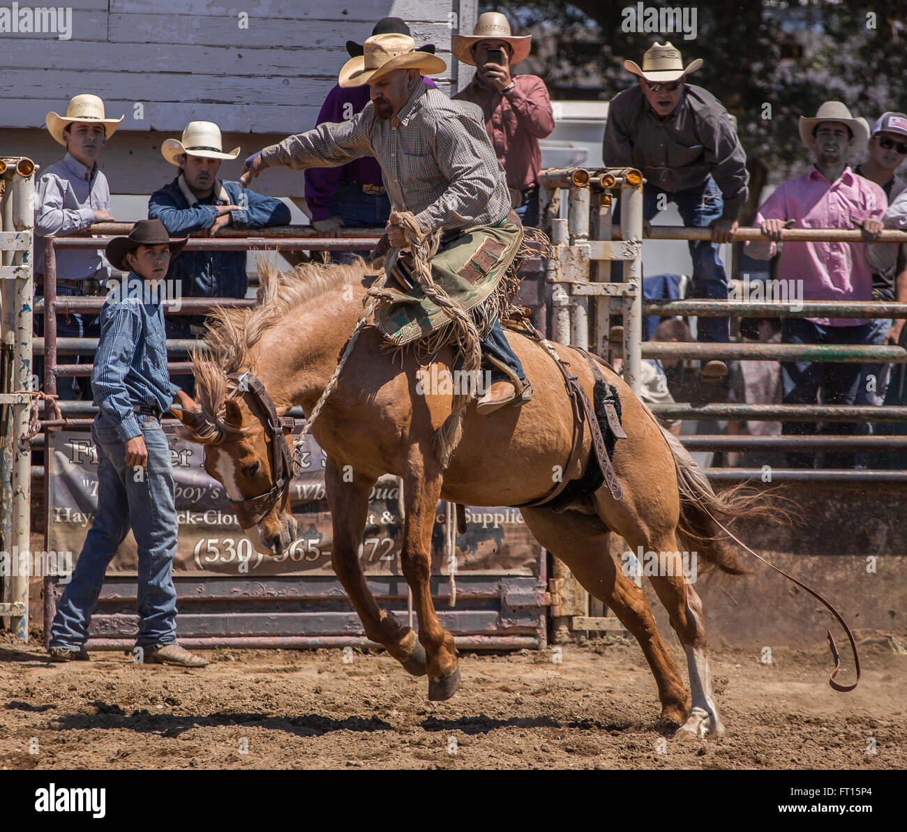 Rodeo action in Cottonwood, California Stock Photo - Alamy