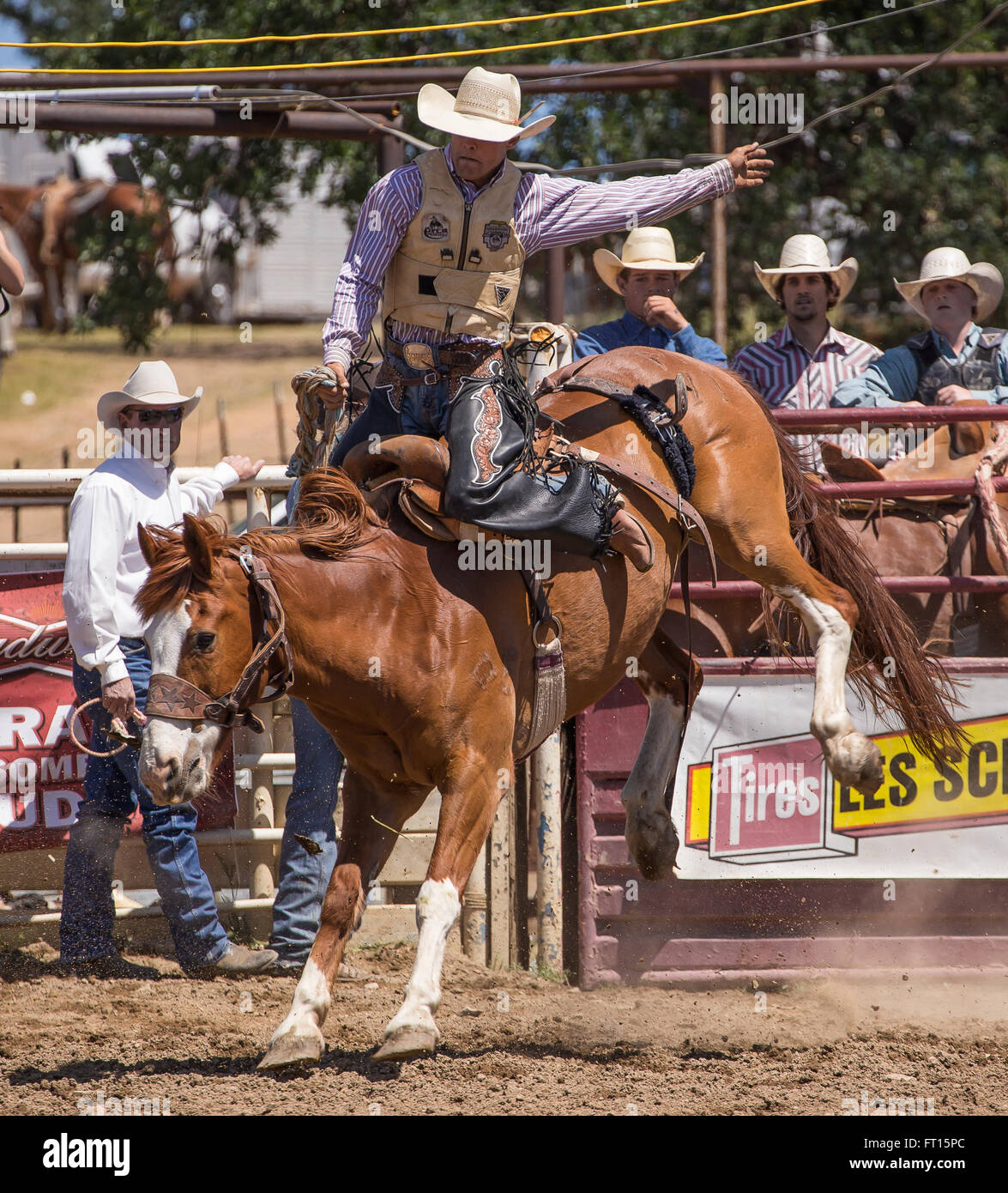 Rodeo action in Cottonwood, California Stock Photo - Alamy