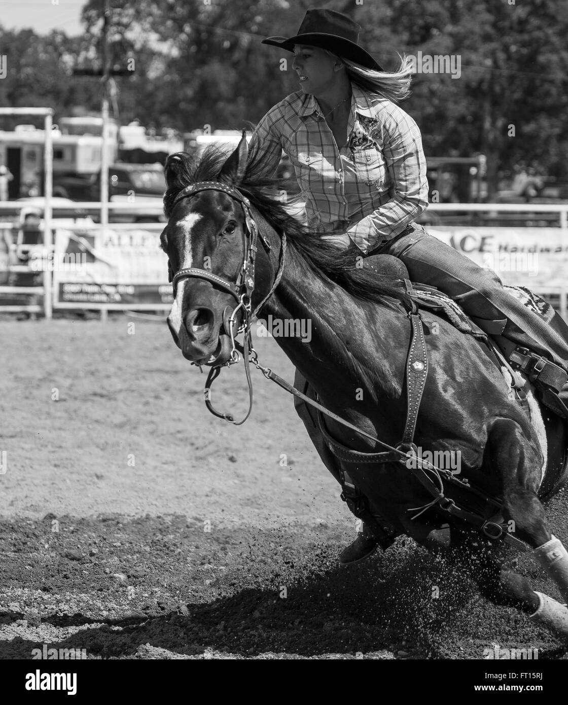Barrel Racer Black And White