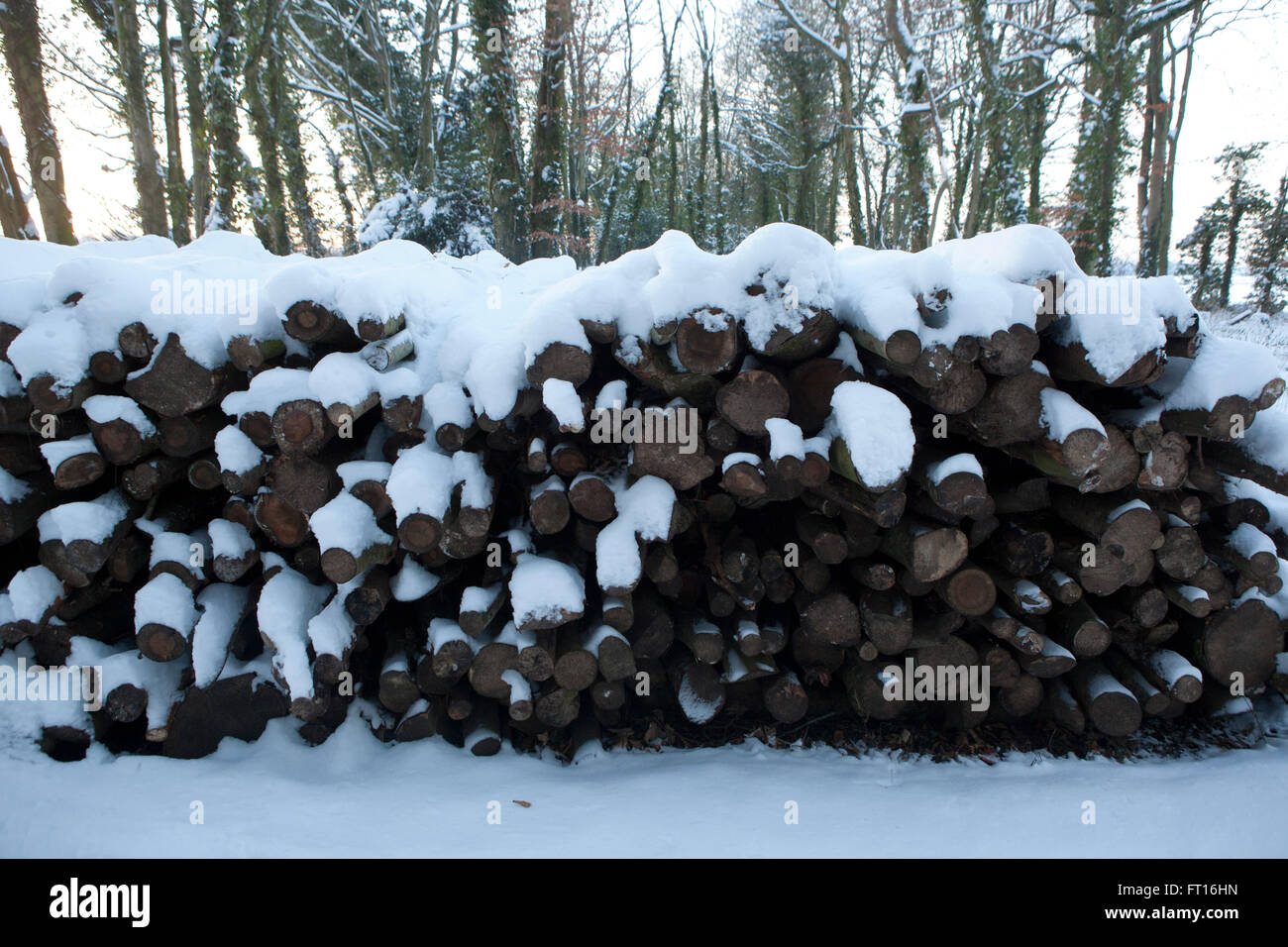 Snow covered log pile hi-res stock photography and images - Alamy