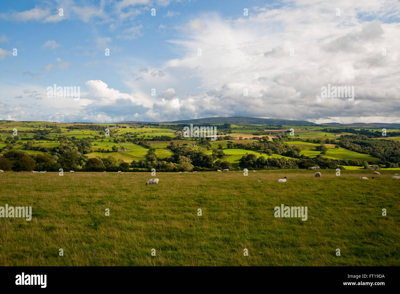 English field near Hadrian's wall Stock Photo - Alamy