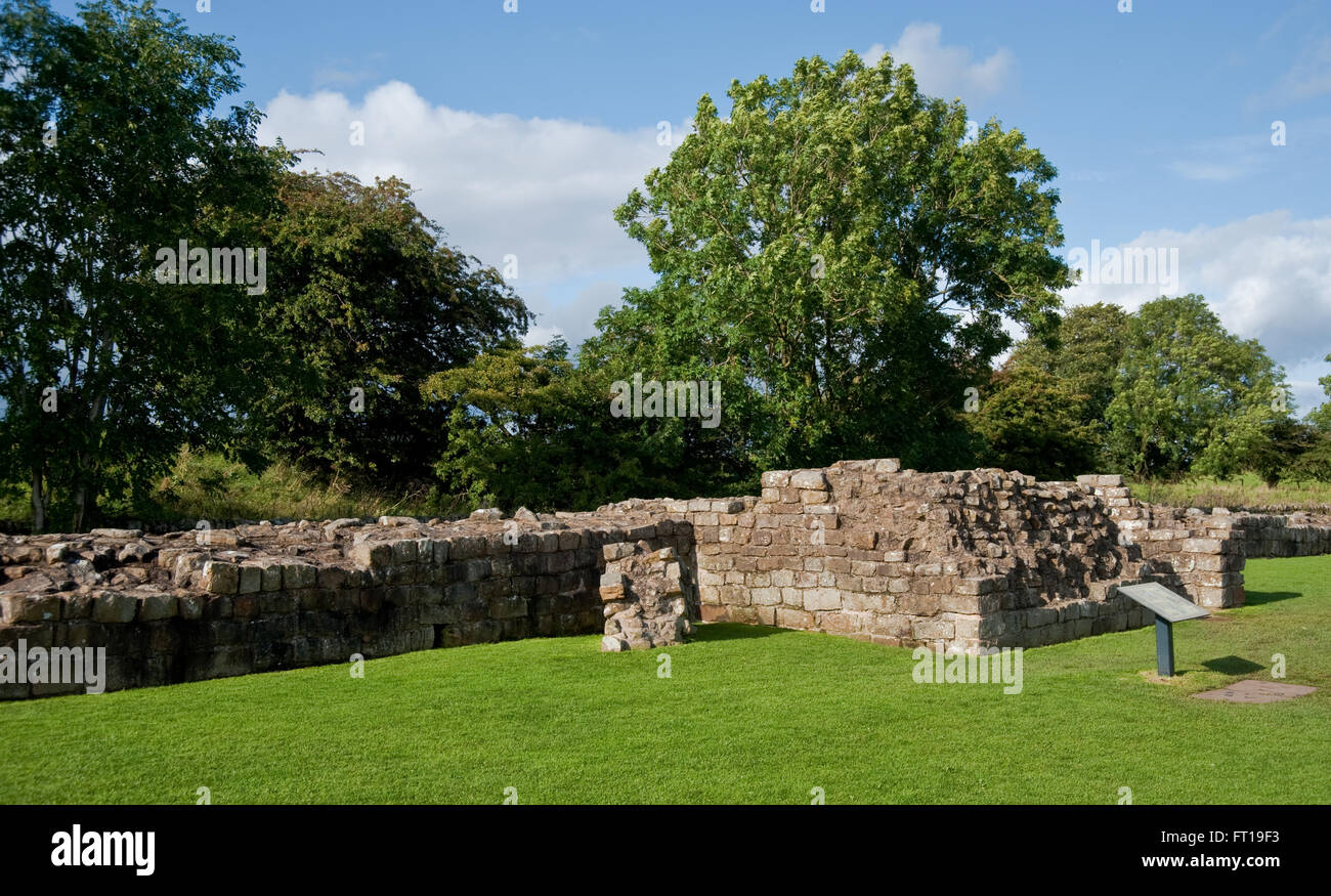Ruins at Vindolanda Roman fort in England Stock Photo - Alamy