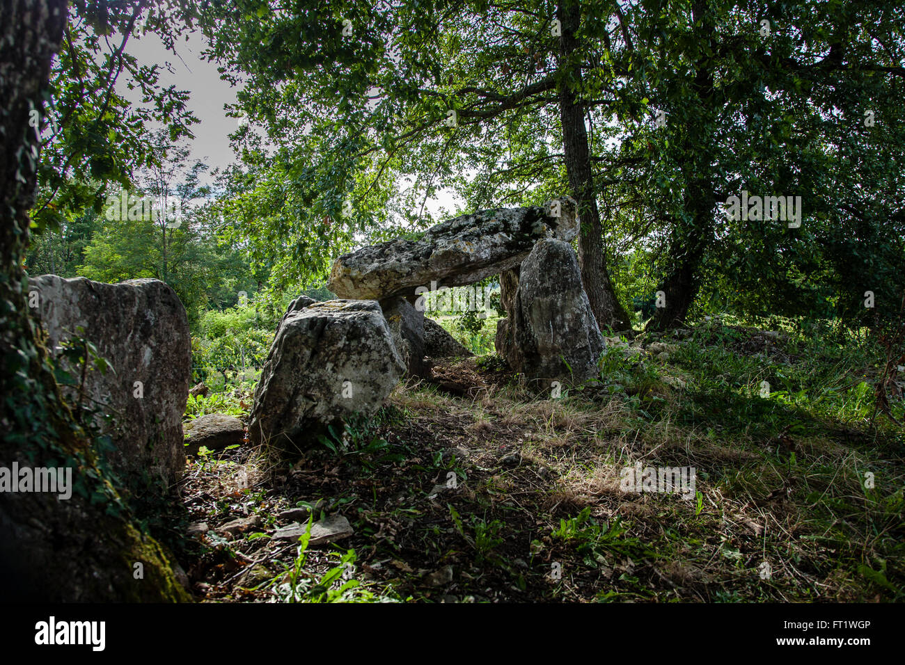 European megalithic construction hi-res stock photography and images ...