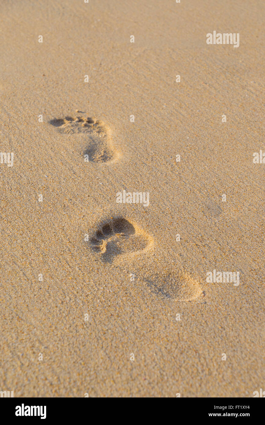 Footprints in the sand on the beach Stock Photo - Alamy