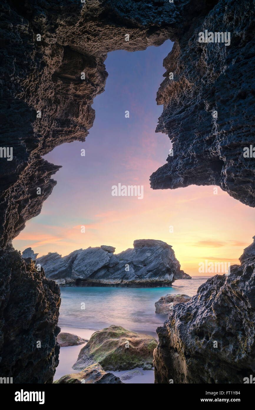 Tropical framing hi-res stock photography and images - Alamy