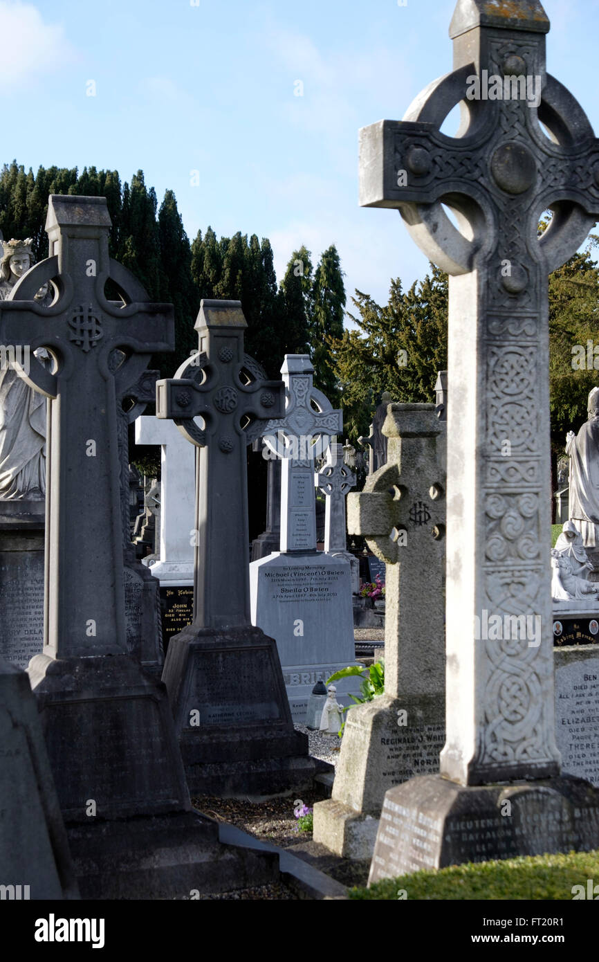Glasnevin Cemetery in Dublin, Ireland, Europe Stock Photo - Alamy