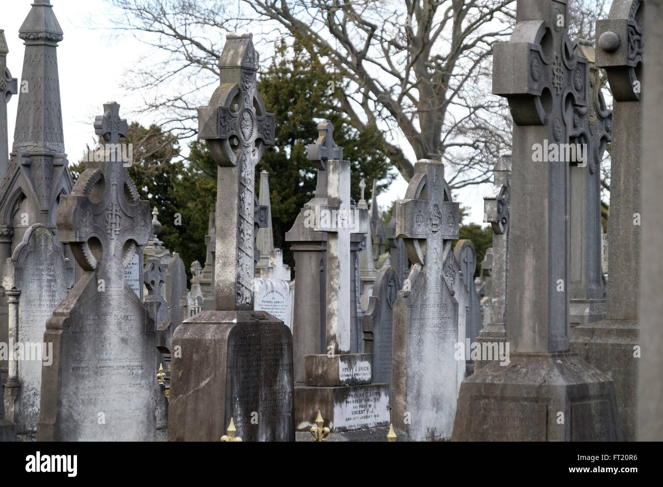Glasnevin Cemetery in Dublin, Ireland, Europe Stock Photo - Alamy