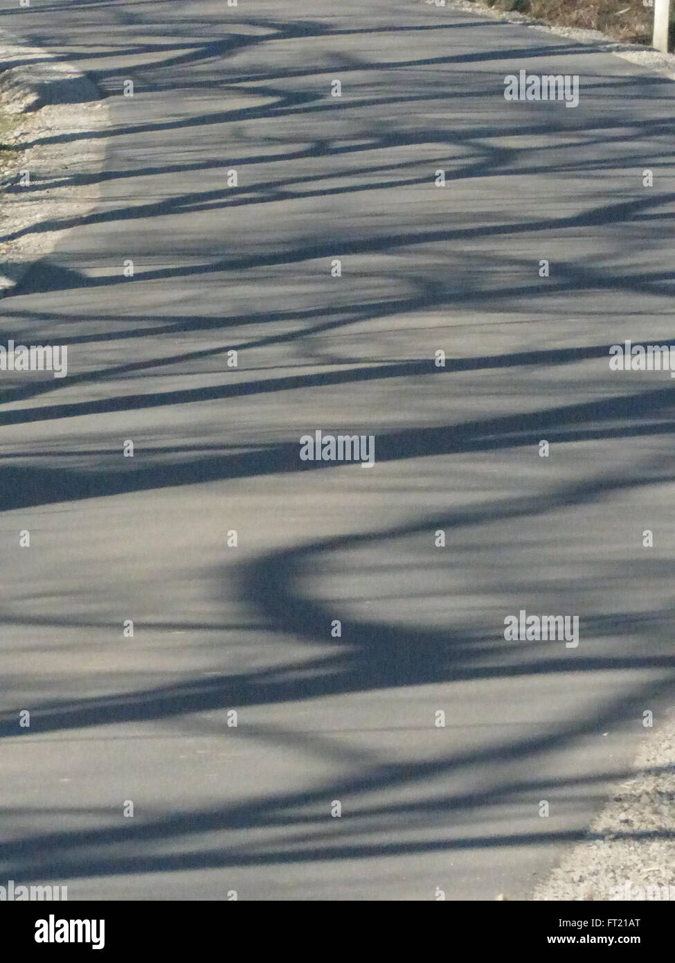 Tree shadows on road hi-res stock photography and images - Alamy