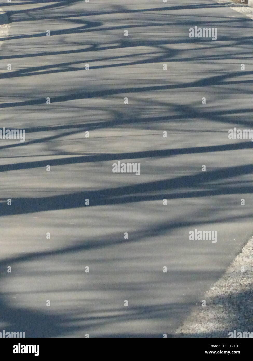Tree shadows on pavement hi-res stock photography and images - Alamy