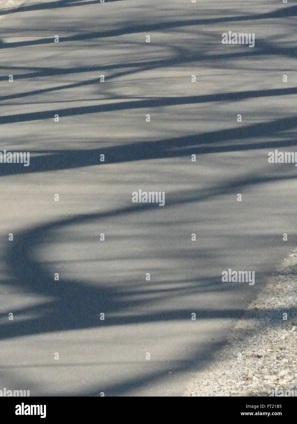 Tree shadows on pavement hi-res stock photography and images - Alamy