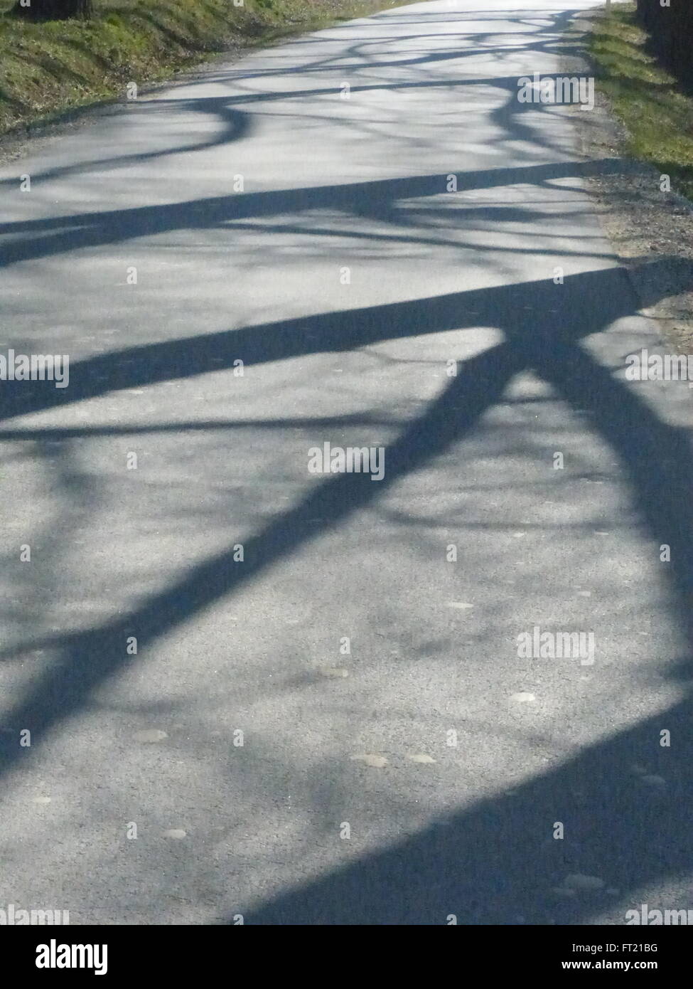 Abstract image of tree shadows on pavement Stock Photo - Alamy