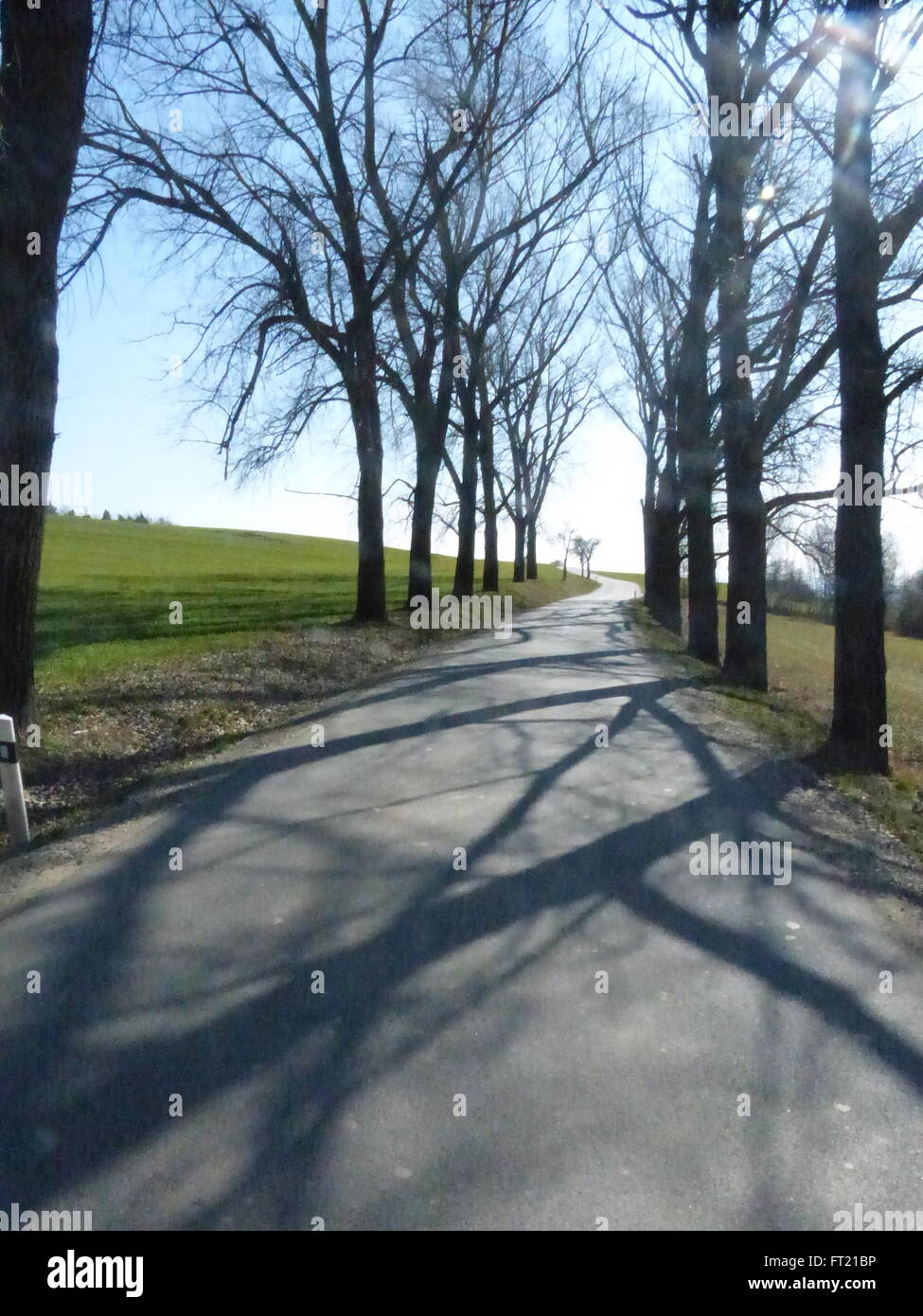 Road with tree shadows Stock Photo - Alamy