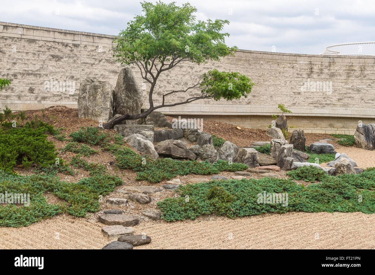 Green tree wall hi-res stock photography and images - Alamy