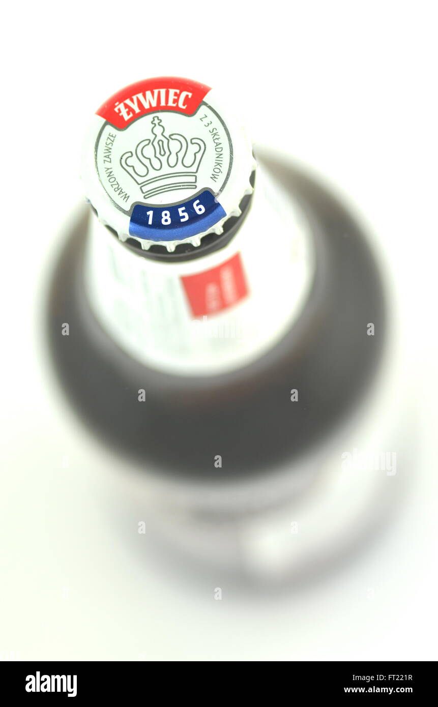 Zywiec beer isolated on white background Stock Photo - Alamy