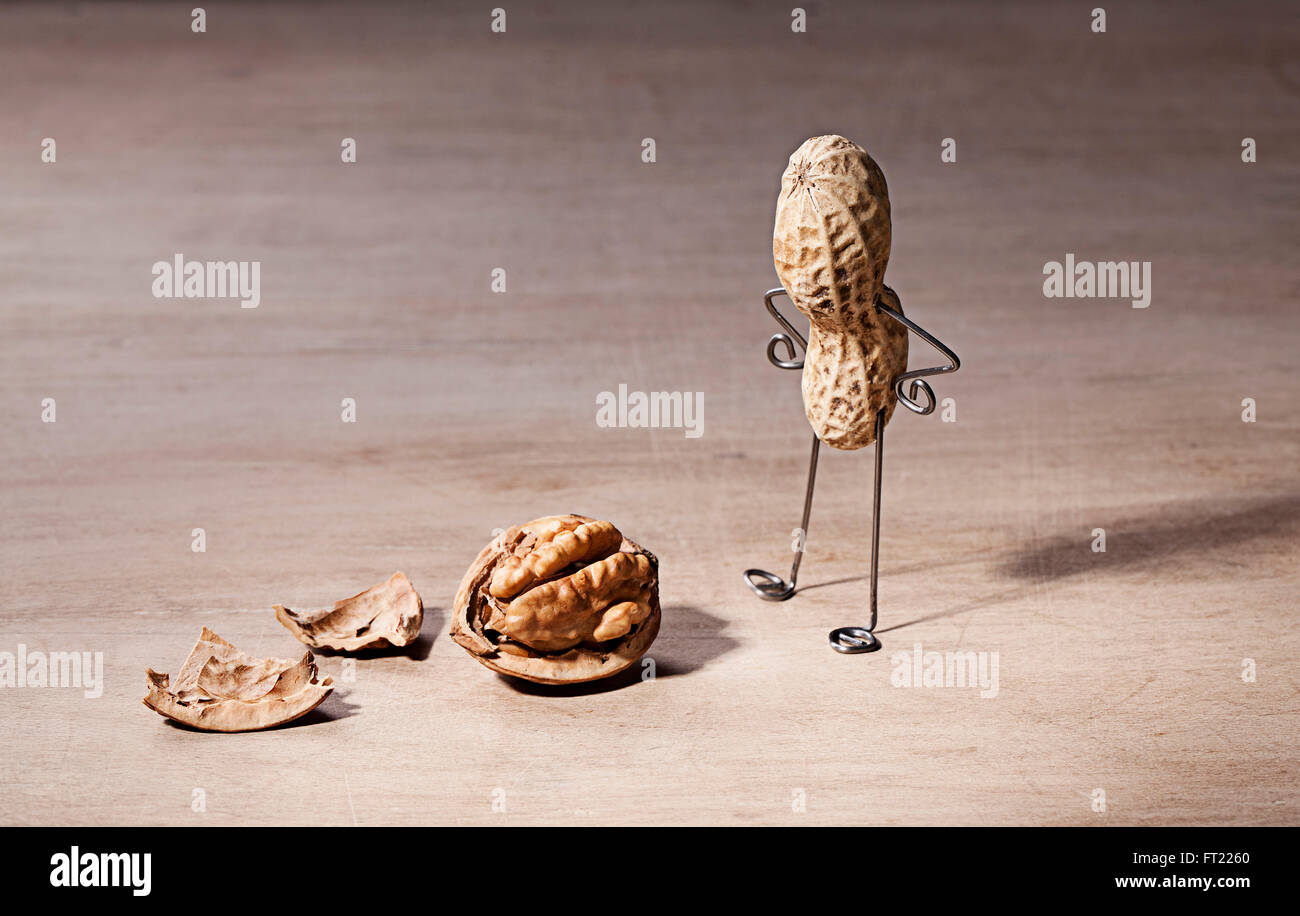 Miniature with Peanut Man and Walnut Brain Stock Photo - Alamy