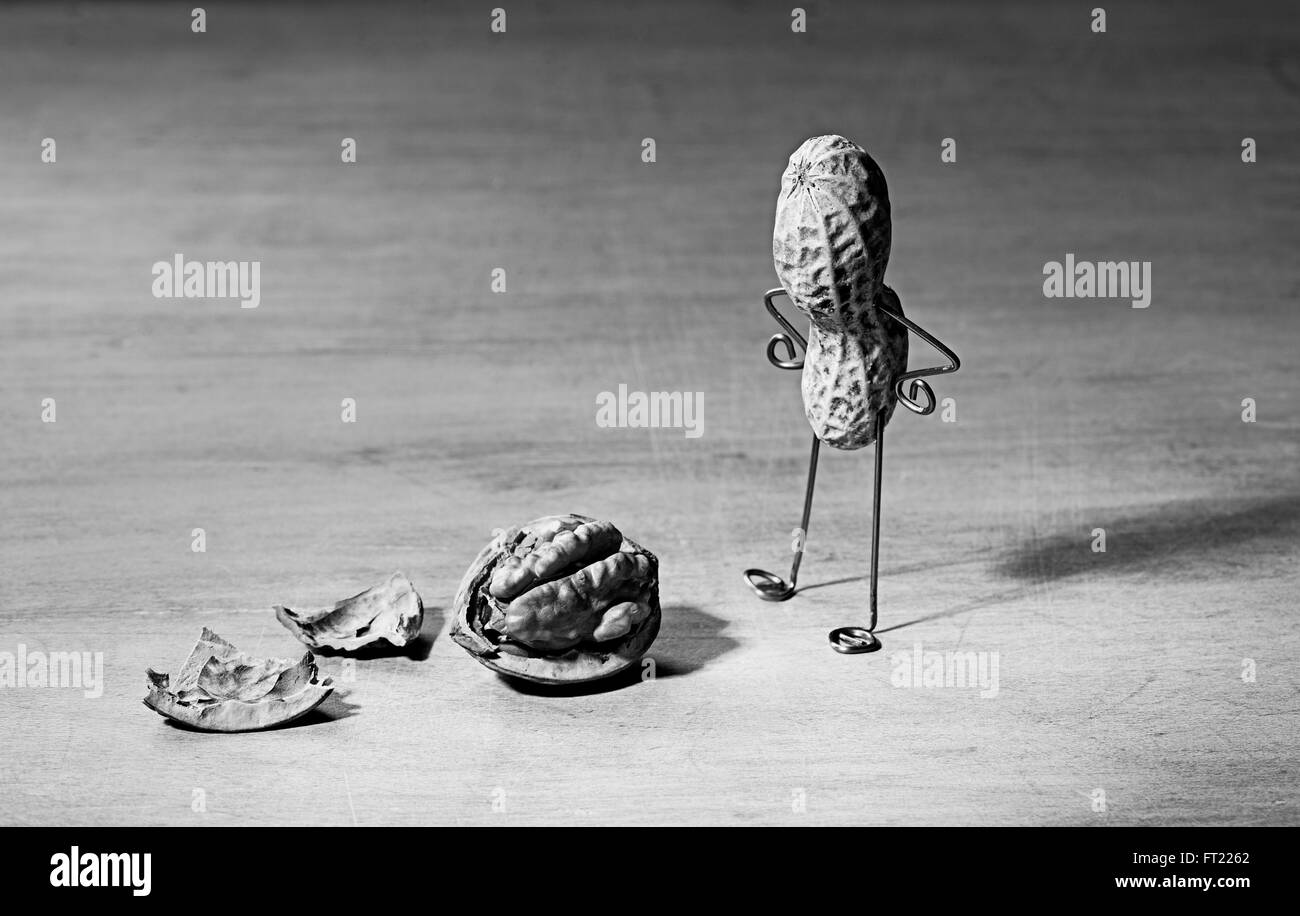 Miniature with Peanut Man and Walnut Brain Stock Photo - Alamy