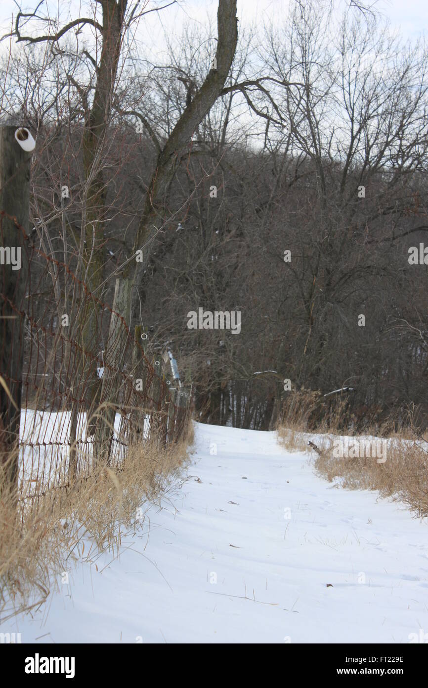 Landscape snowy forest trail hi-res stock photography and images - Alamy