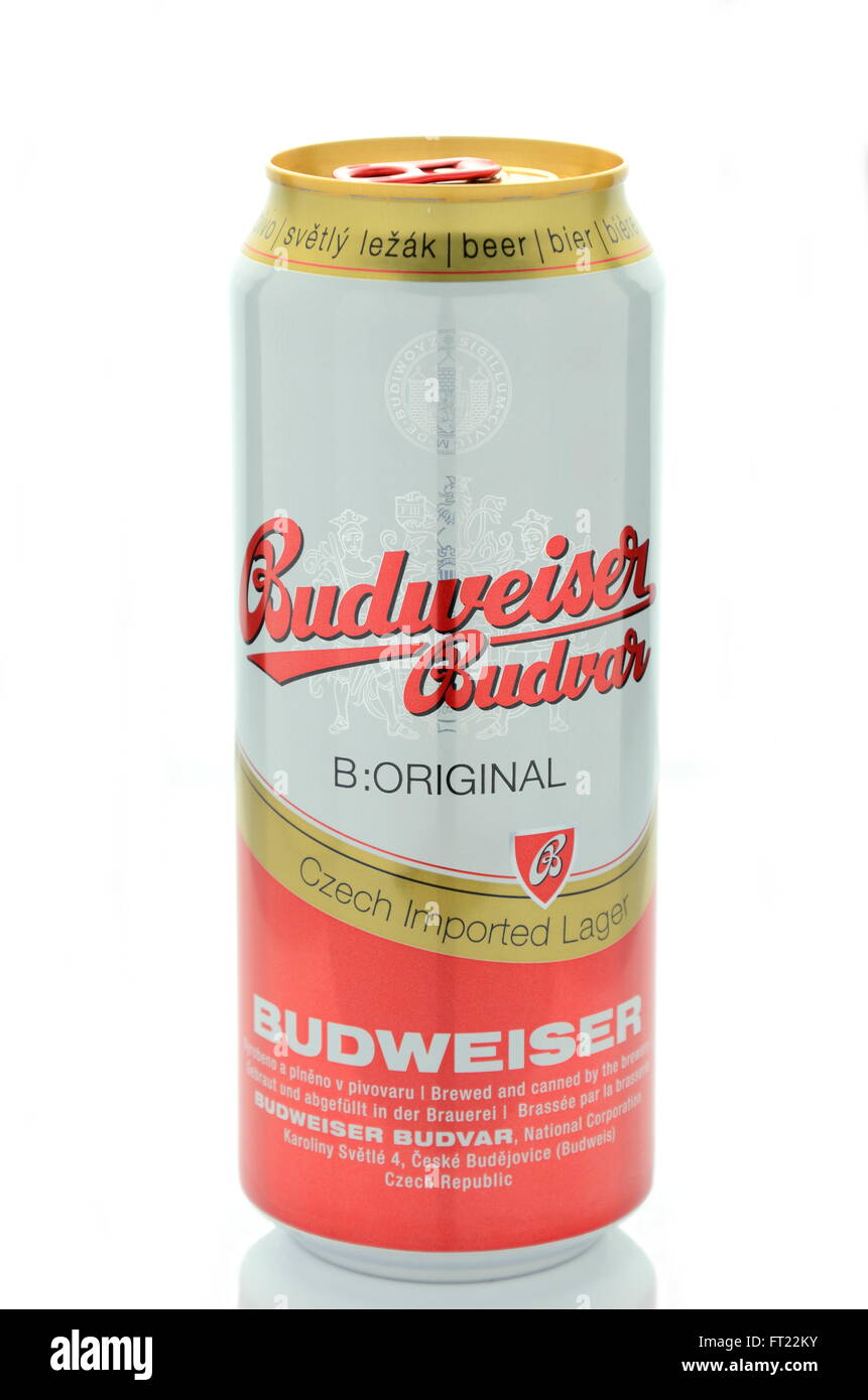 Budweiser lager beer isolated on white background Stock Photo - Alamy