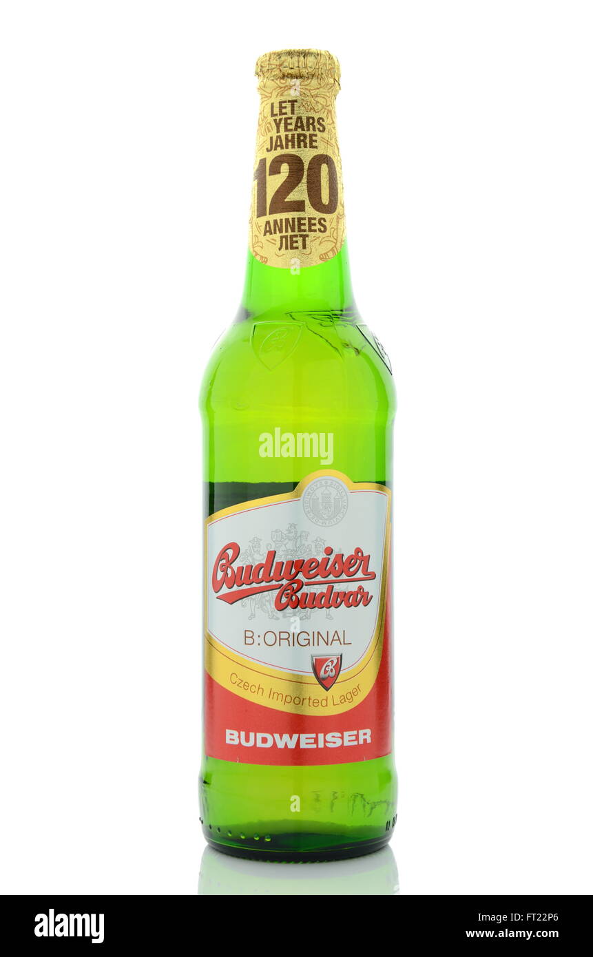 Budweiser lager beer isolated on white background Stock Photo - Alamy