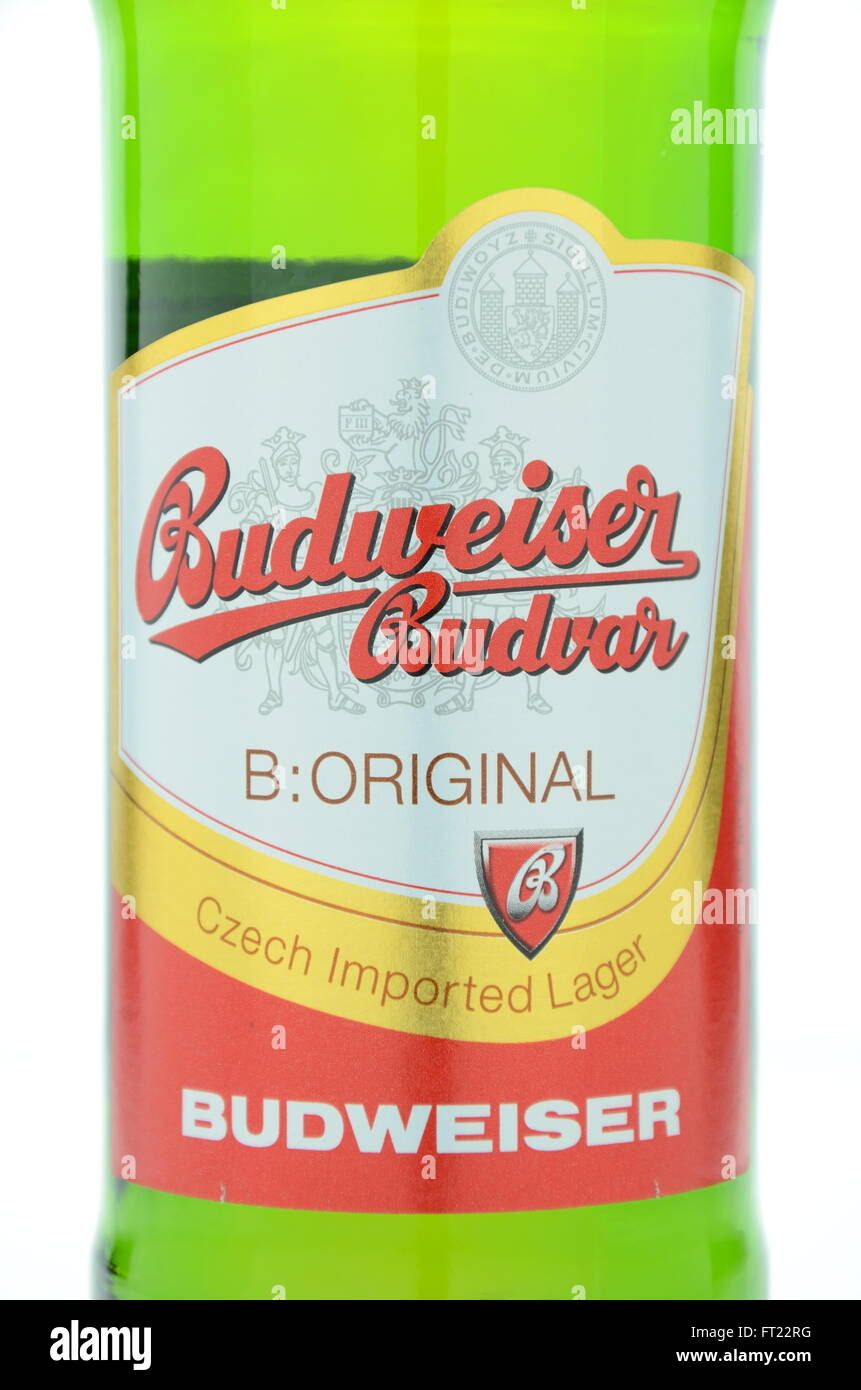 Budweiser lager beer isolated on white background Stock Photo - Alamy