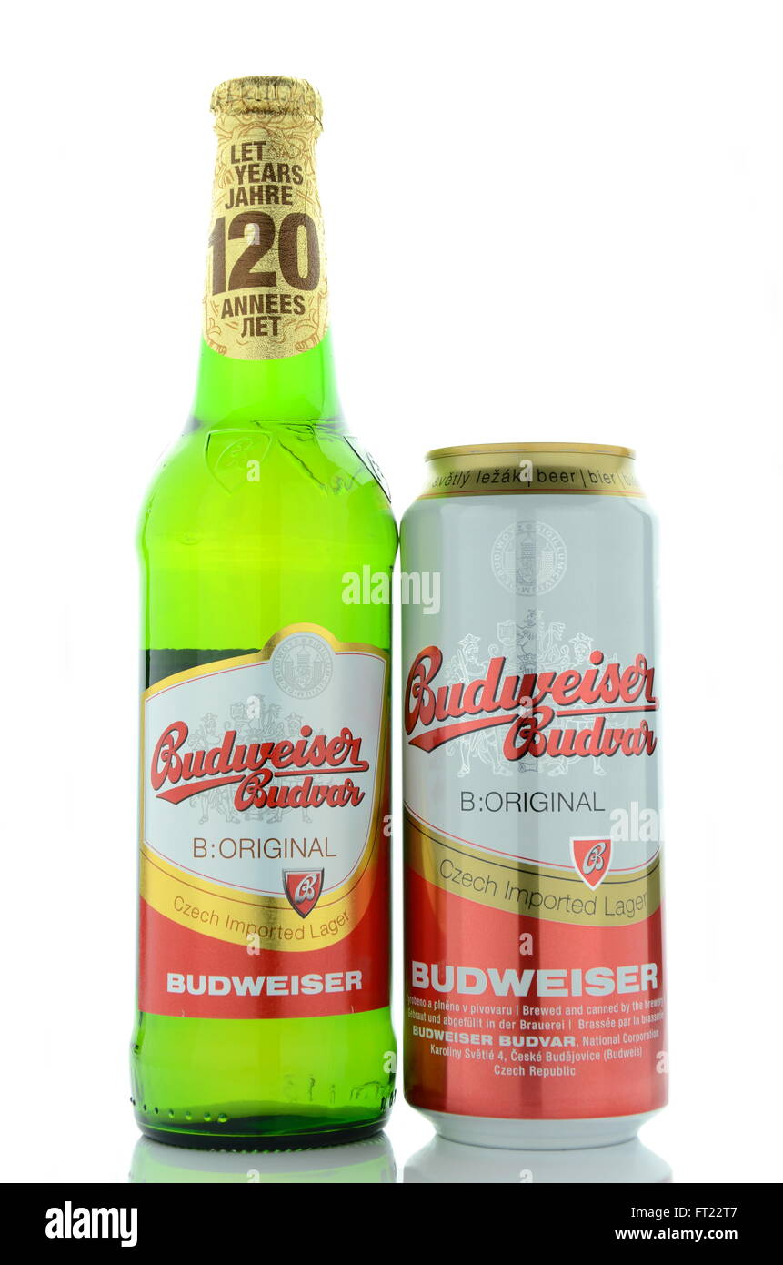 Budweiser lager beer isolated on white background Stock Photo - Alamy