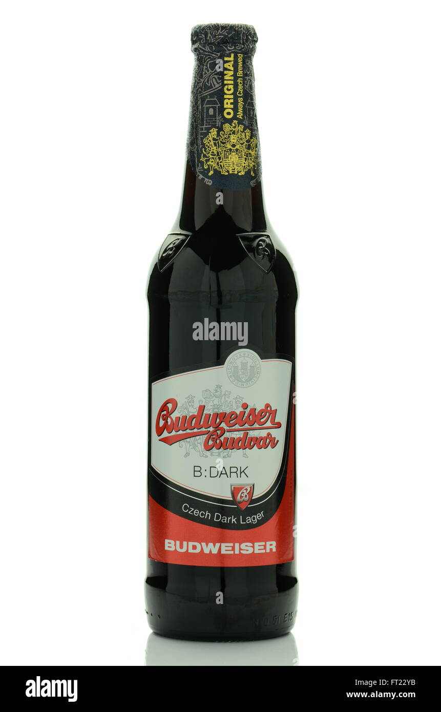 Budweiser lager beer isolated on white background Stock Photo - Alamy