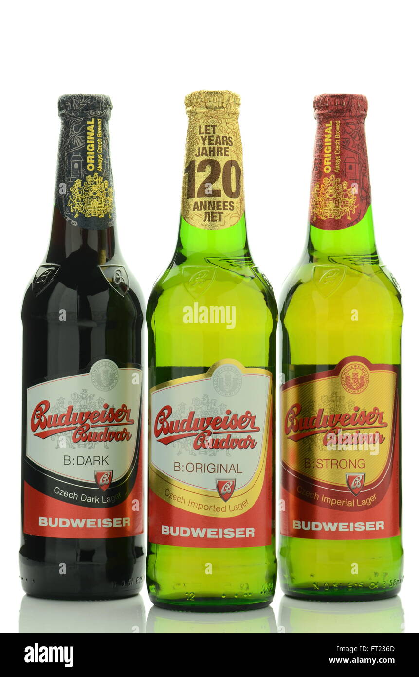 Budweiser lager beer isolated on white background Stock Photo - Alamy