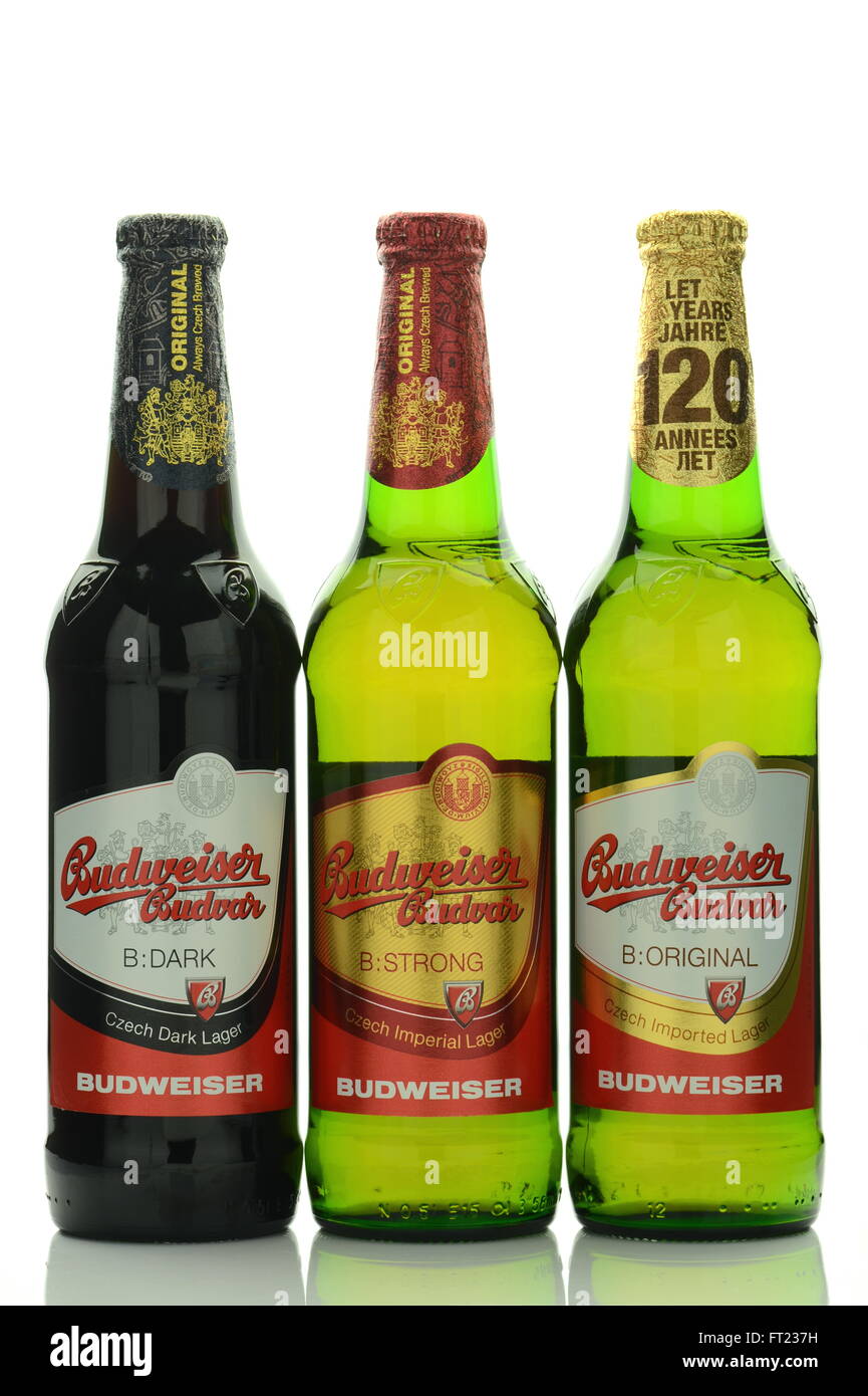 Budweiser lager beer isolated on white background Stock Photo - Alamy