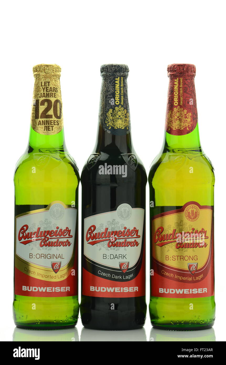 Budweiser lager beer isolated on white background Stock Photo - Alamy