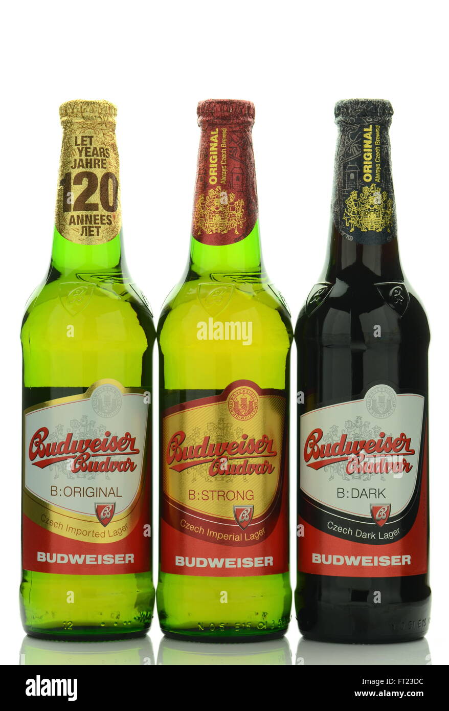 Budweiser lager beer isolated on white background Stock Photo - Alamy