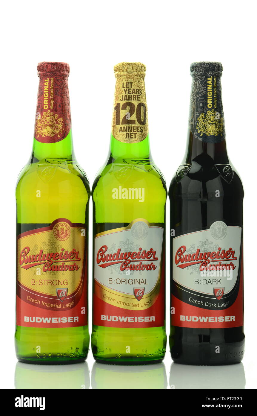 Budweiser lager beer isolated on white background Stock Photo - Alamy