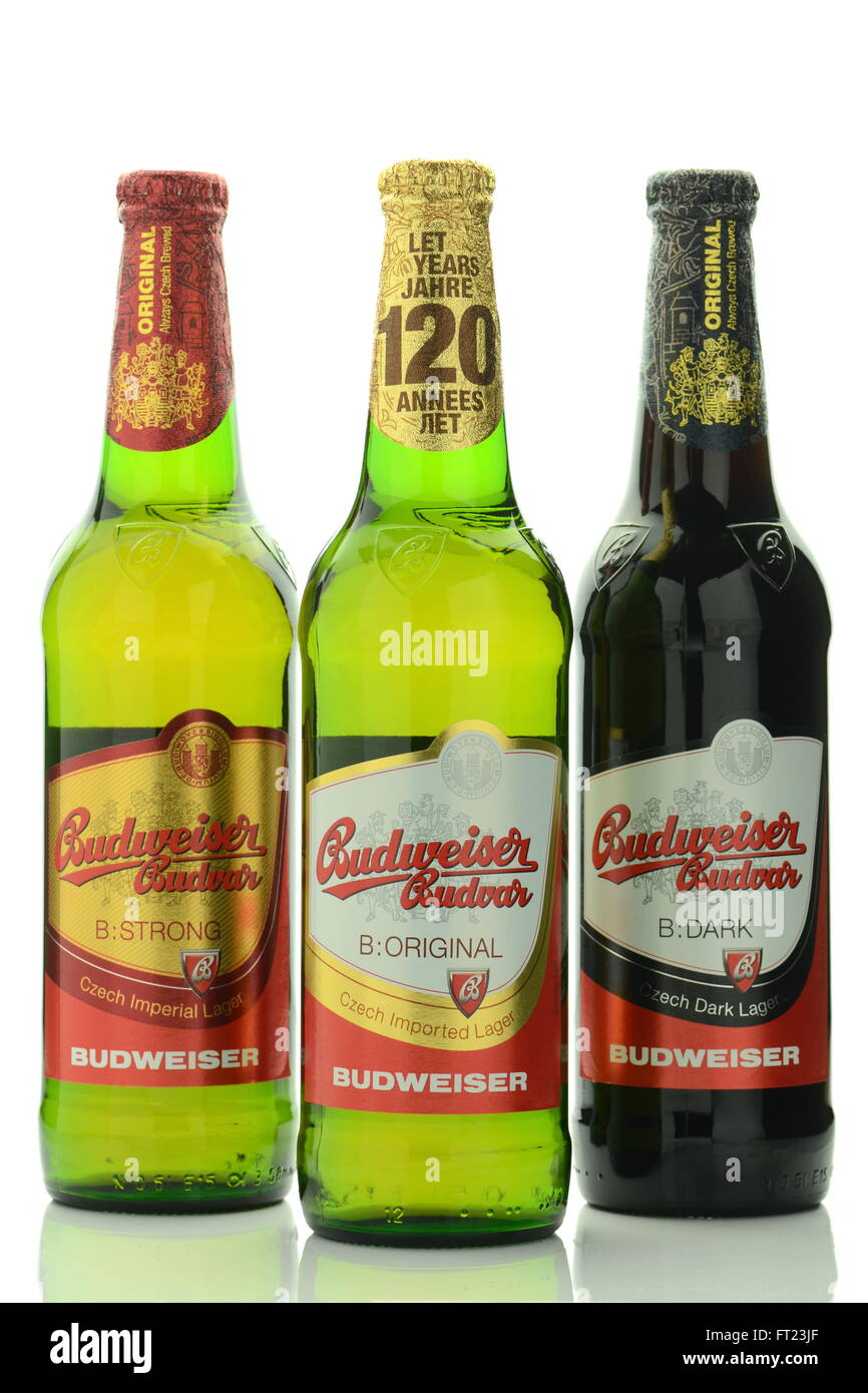 Budweiser lager beer isolated on white background Stock Photo - Alamy