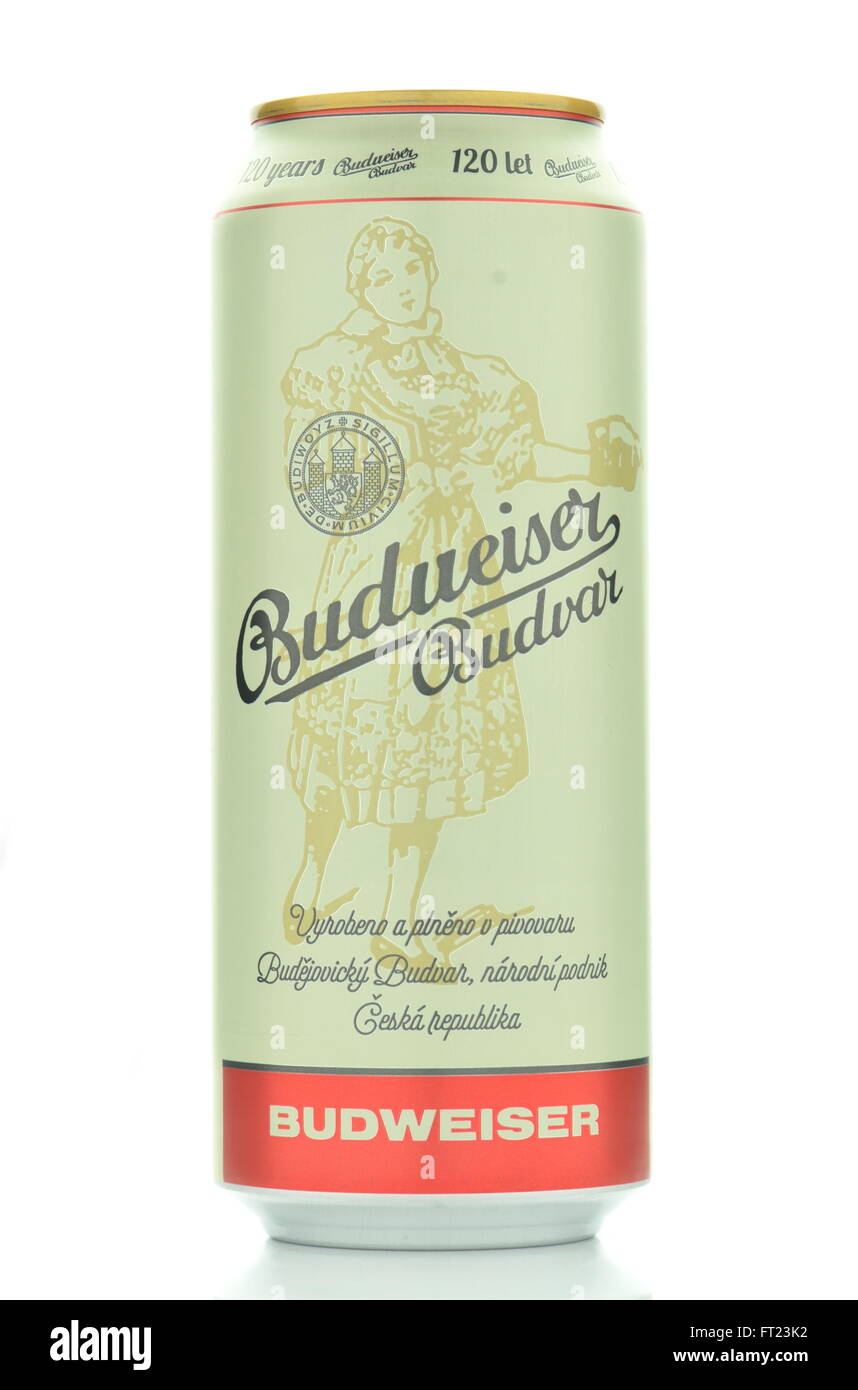 Budweiser lager beer isolated on white background Stock Photo - Alamy