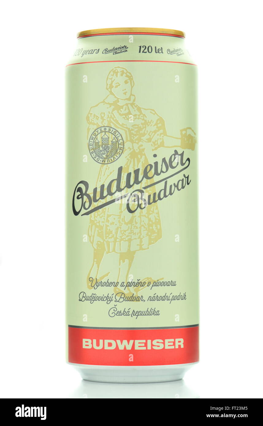 Budweiser lager beer isolated on white background Stock Photo - Alamy