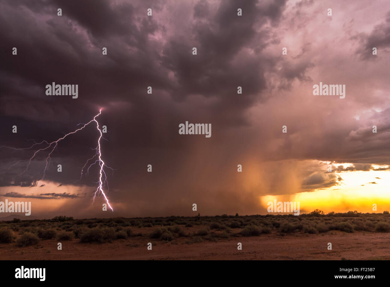 Lightning storm in the Arizona desert Stock Photo - Alamy