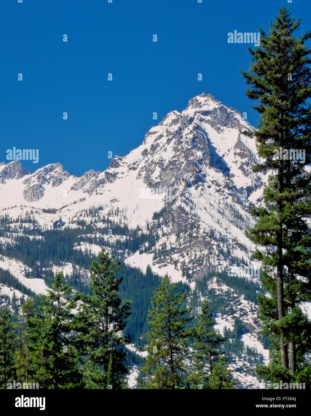 north trapper peak in the bitterroot range of the selway-bitterroot ...