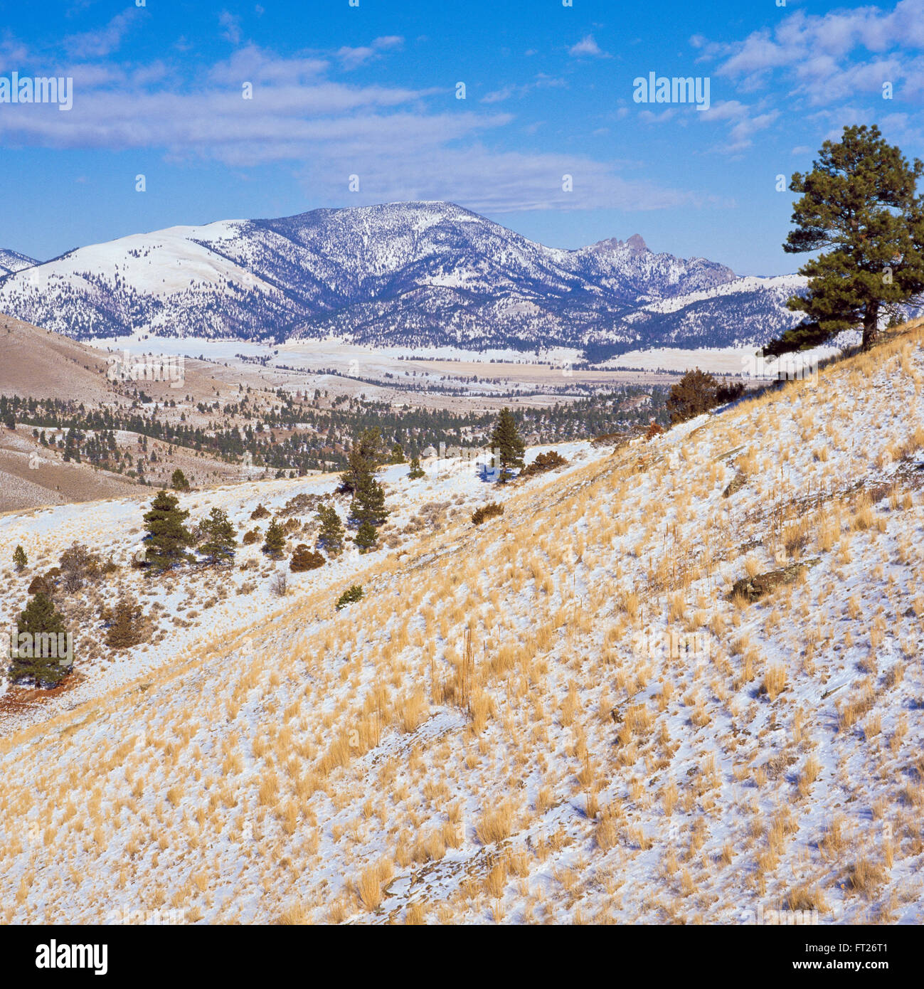 sleeping giant mountain in winter near helena, montana Stock Photo - Alamy