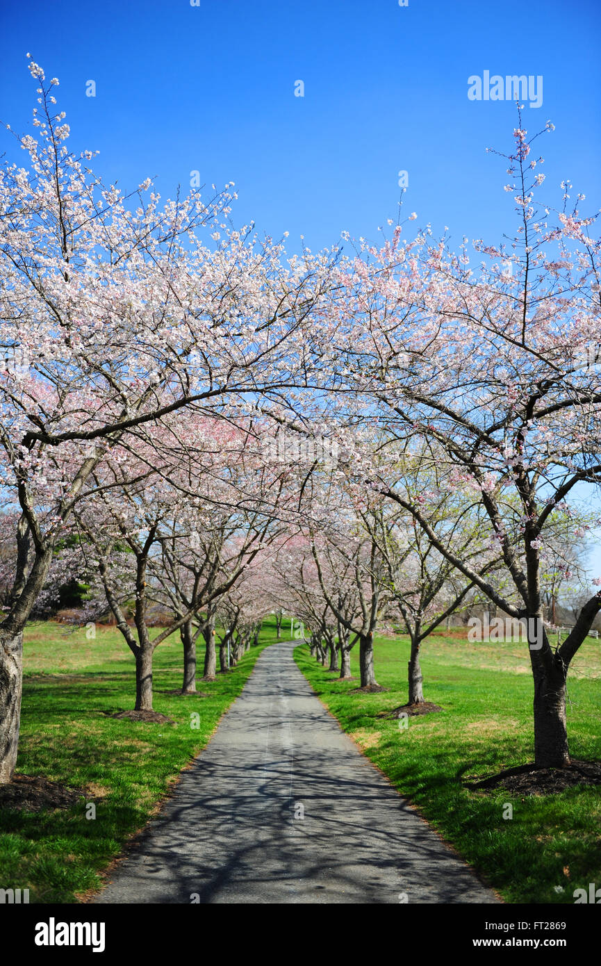 Darnestown hi-res stock photography and images - Alamy