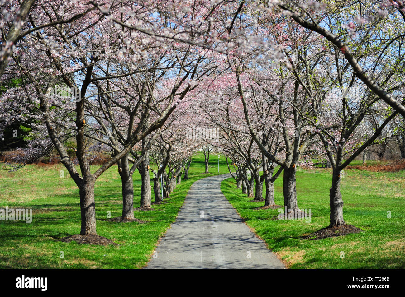 USA Maryland MD Potomac Darnestown Montgomery County a private lane ...