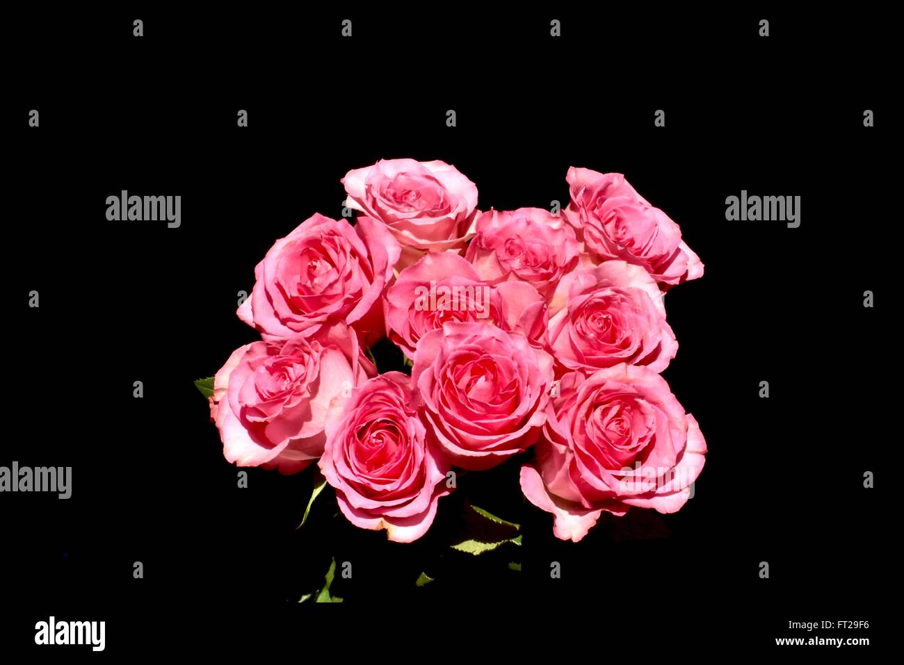 Bouquet of roses on black background Stock Photo - Alamy
