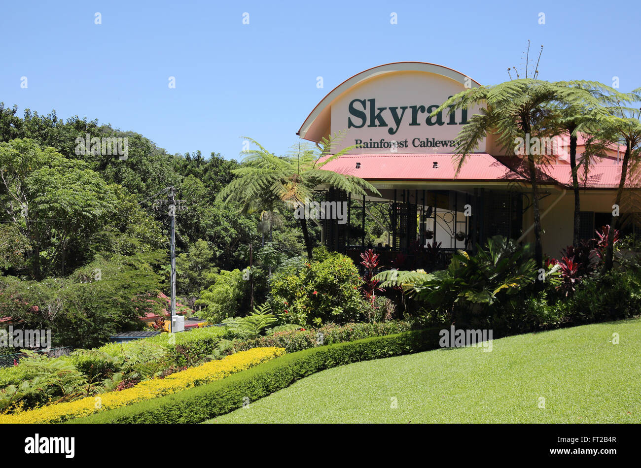 kuranda skyrail, a cable car over the rainforest queensland australia ...