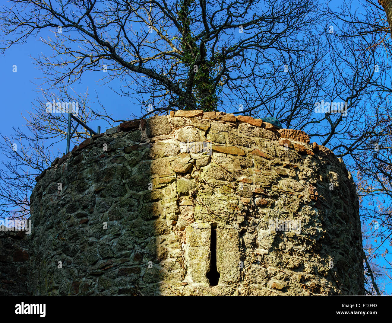 Old medieval fortress tower in France, Andlau castle Stock Photo - Alamy