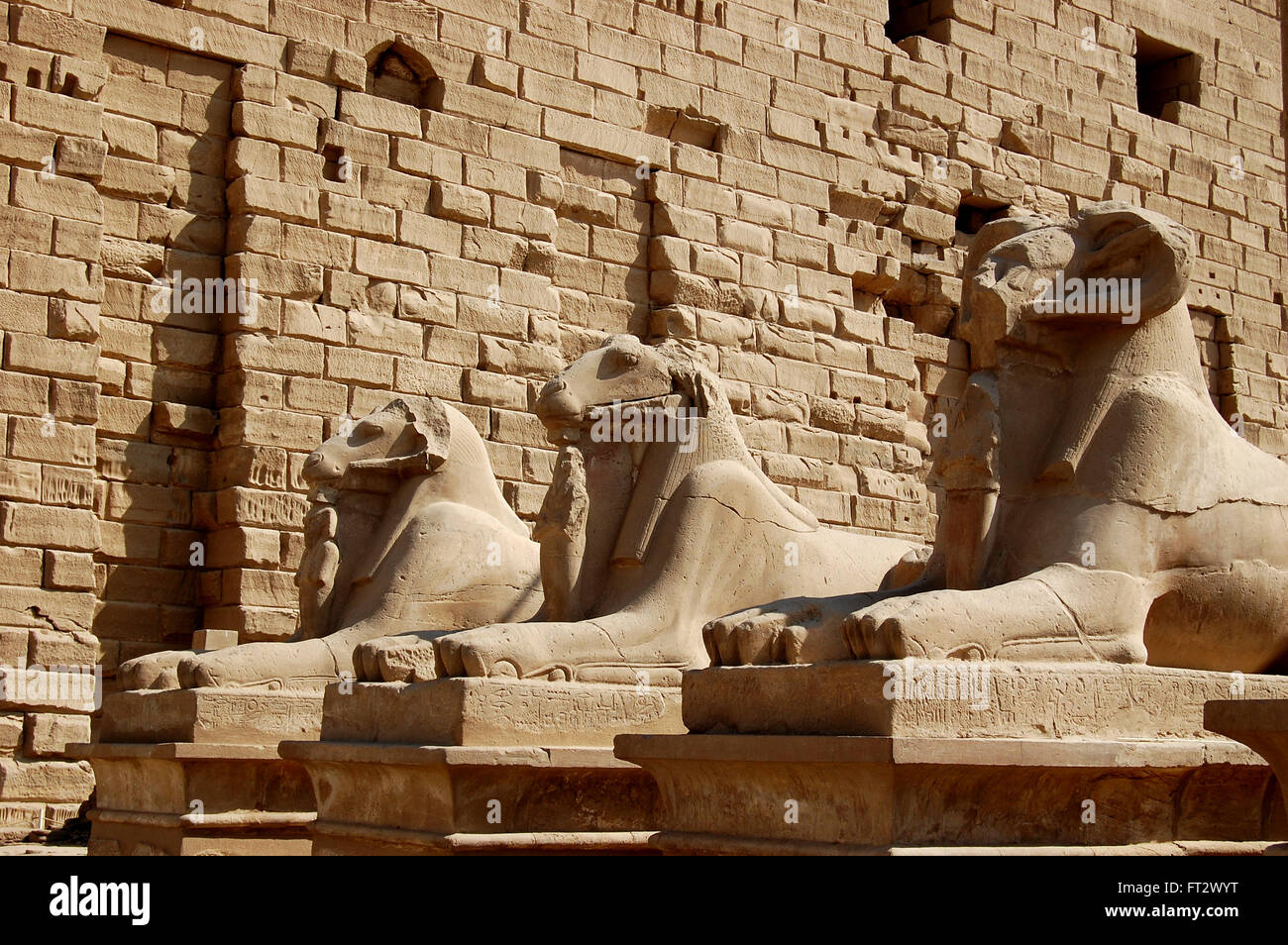 Lions in ancient egypt hi-res stock photography and images - Alamy