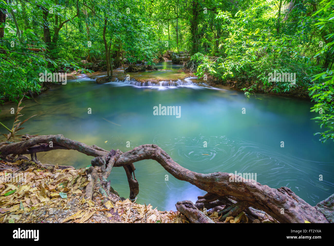 Deep forest Waterfall in Krabi, Southern of Thailand Stock Photo - Alamy