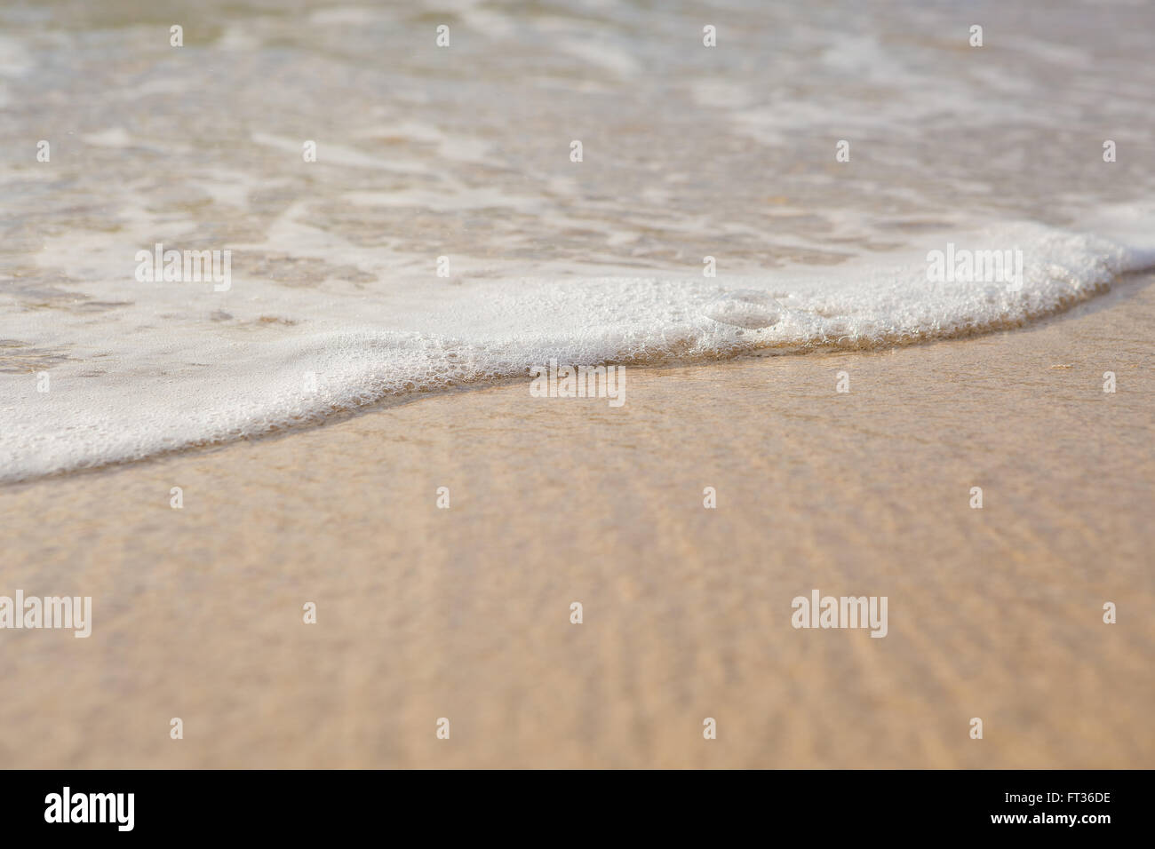 Calm beach foam Stock Photo - Alamy