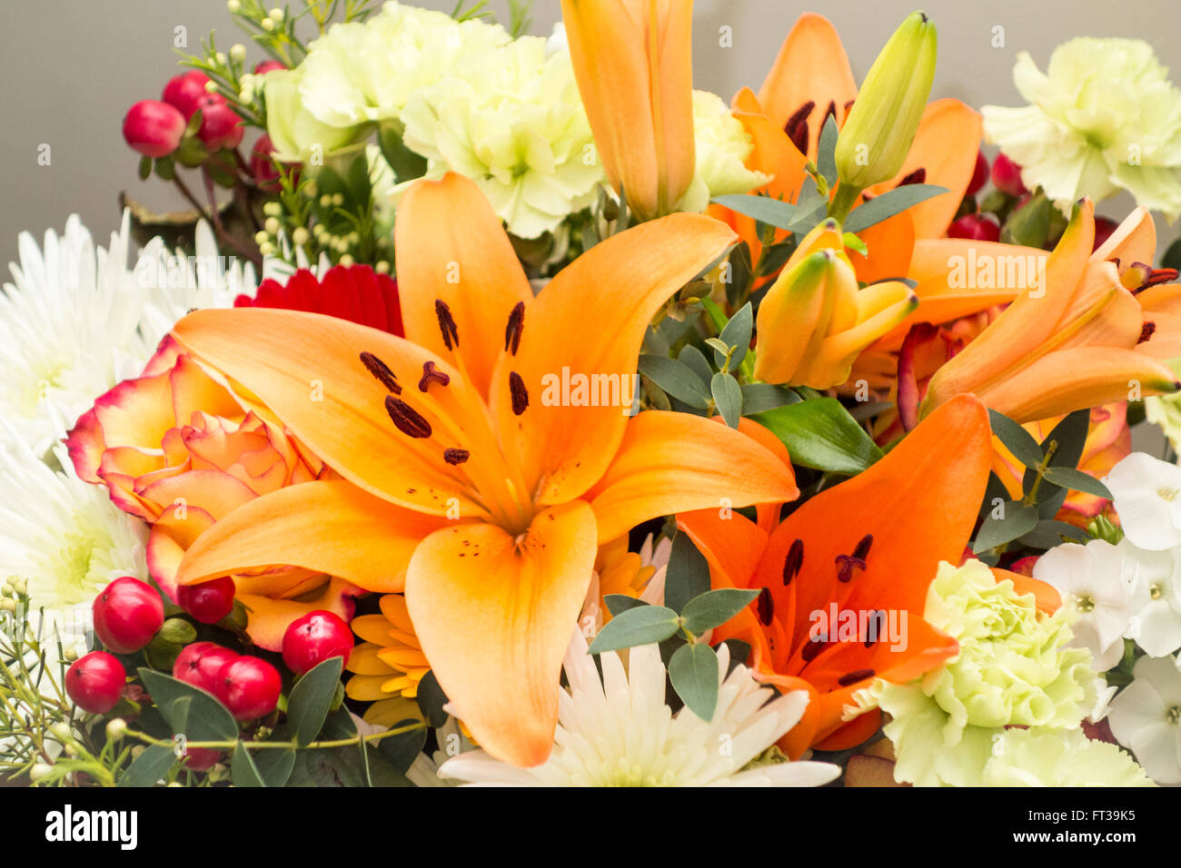 Stargazer lily hi-res stock photography and images - Alamy
