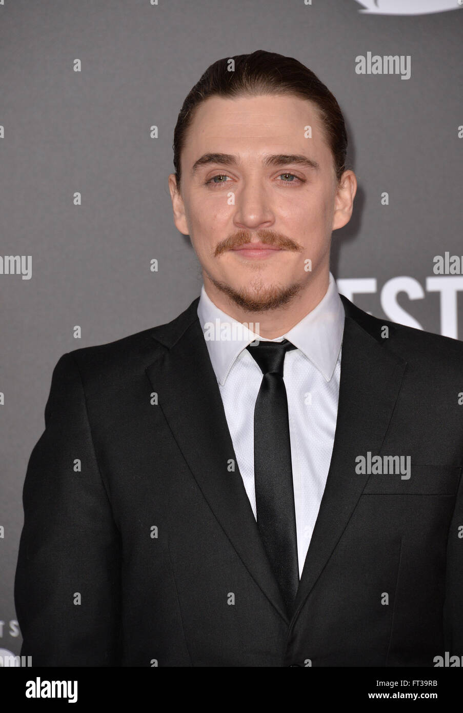LOS ANGELES, CA - JANUARY 25, 2016: Actor Kyle Gallner at the premiere ...