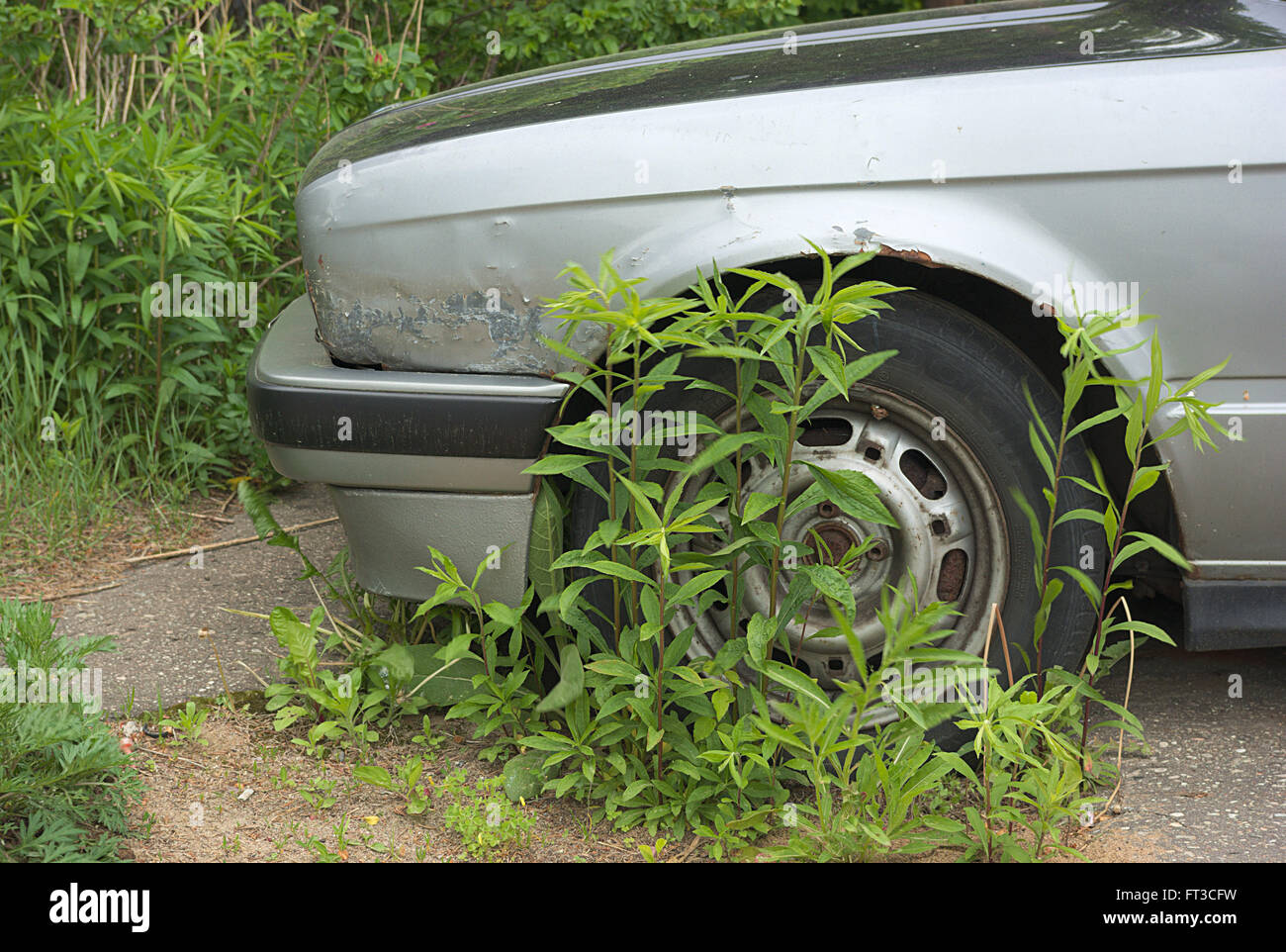 Car immobile hi-res stock photography and images - Alamy